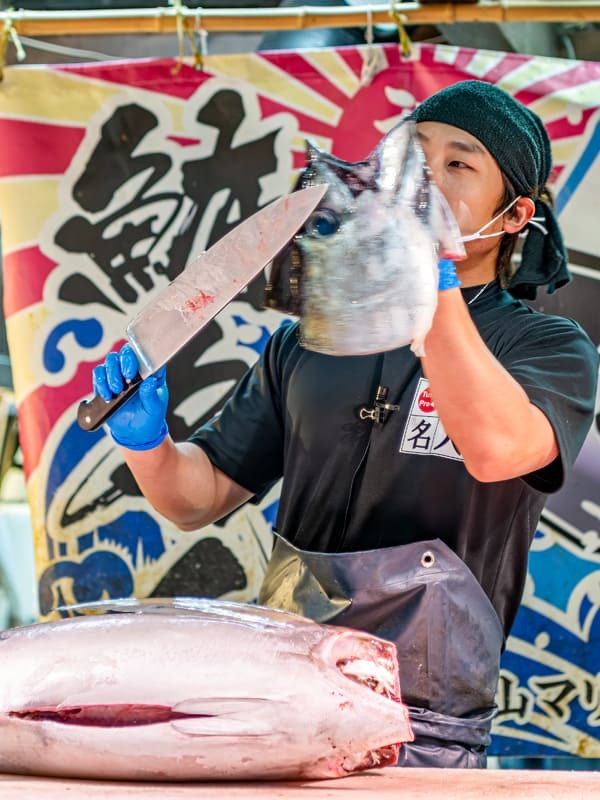 16-Day South Korea and Japan Cultural Adventure Tour